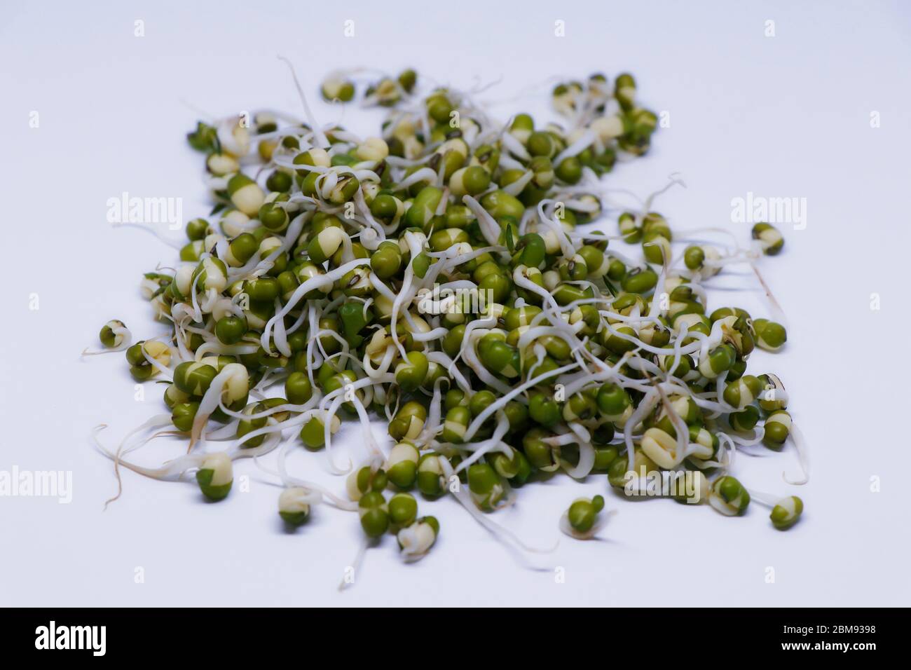sprouted green gram isolated with white background Stock Photo - Alamy