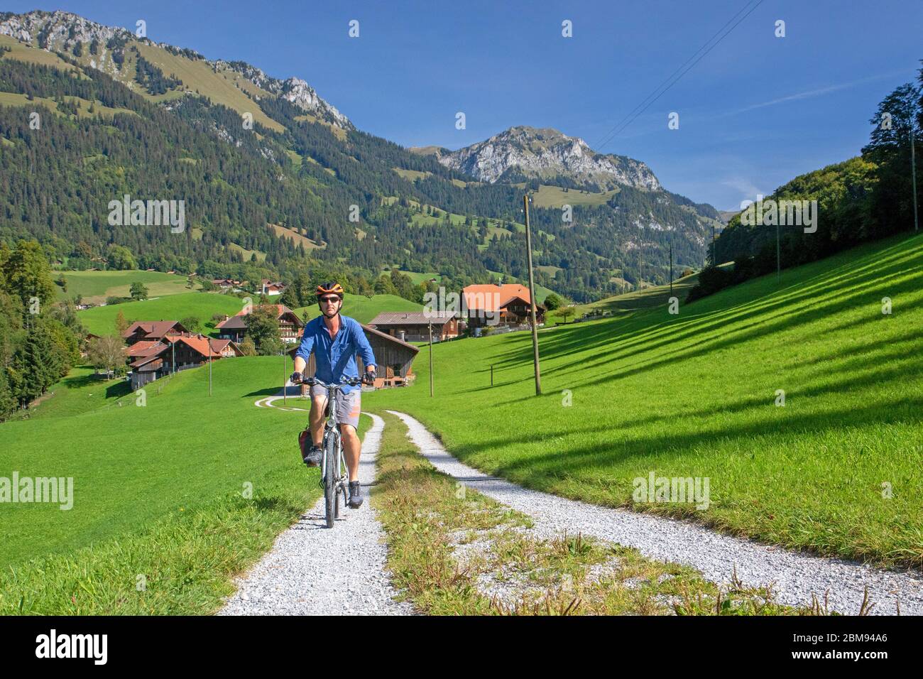 Simmental hi-res stock photography and images - Alamy