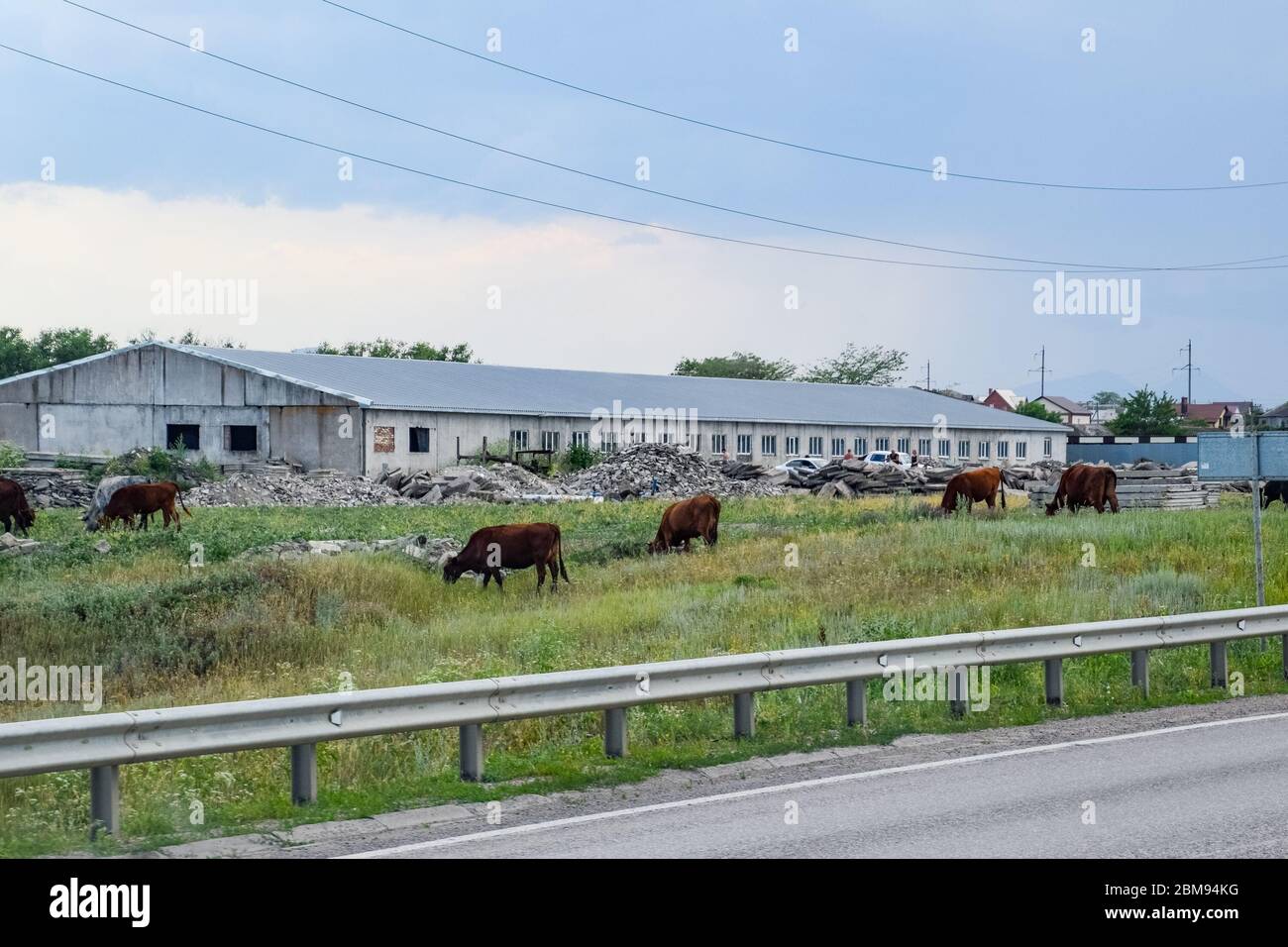 Substandard hi-res stock photography and images - Alamy