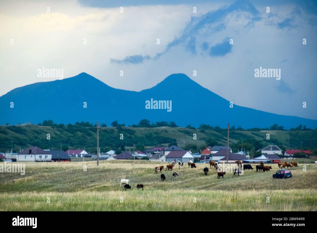 Substandard hi-res stock photography and images - Alamy