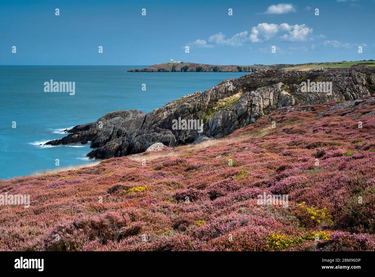 Summer anglesey hi-res stock photography and images - Alamy