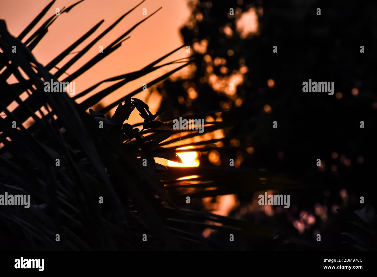 The light of the sun is falling to the ground through the gap of ...