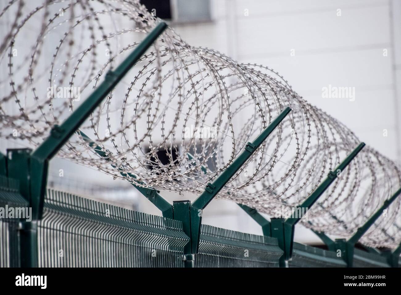 Swirls of barbed wire over the fence. The fence symbolizes prison, non ...