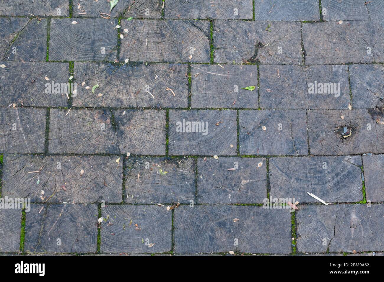 Historic Wood Block Alley in the Gold Coast Neighborhood of Chicago ...