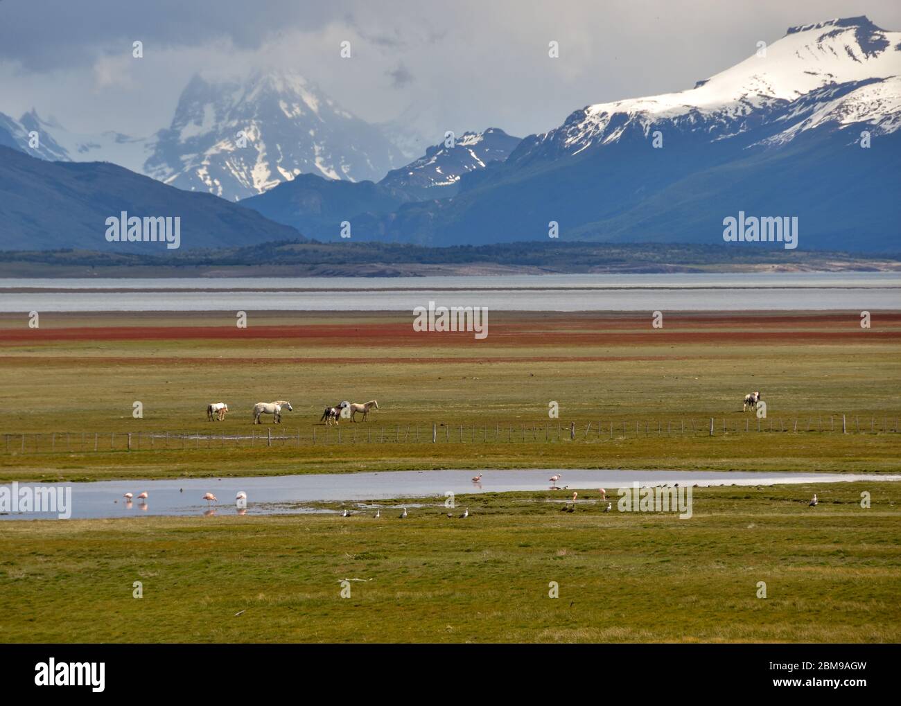 Typical patagonian landscape with mountains, lakes, glaciers, horses ...