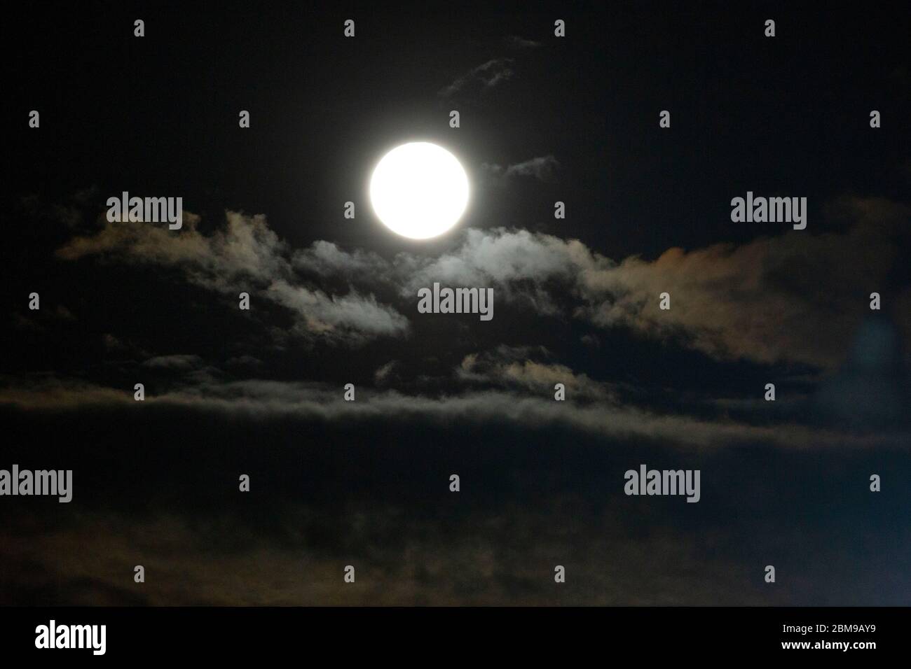 Supermoon of flowers hi-res stock photography and images - Alamy