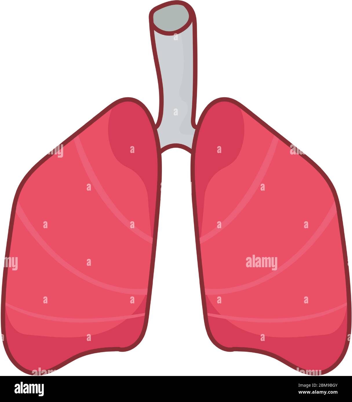 lungs flat style icon design of Medical care health and emergency theme ...