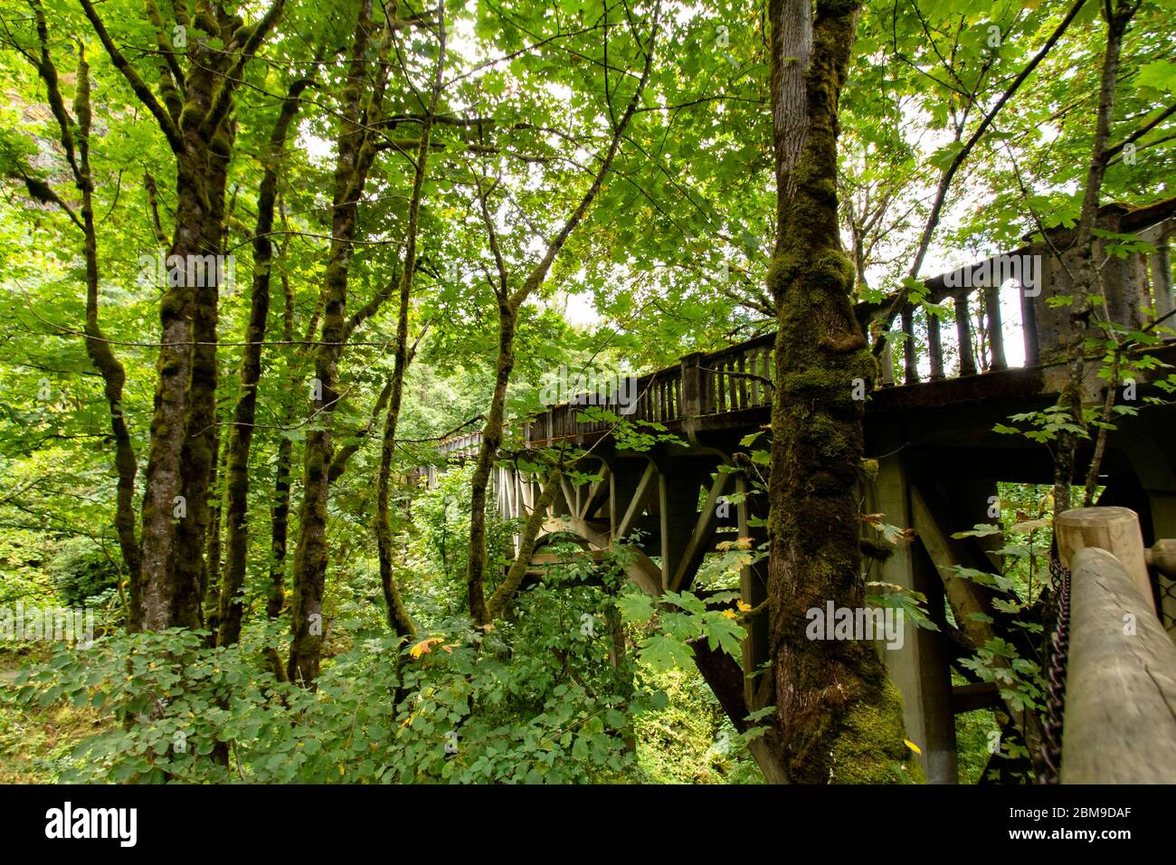 Bridge human made structure hi-res stock photography and images - Alamy