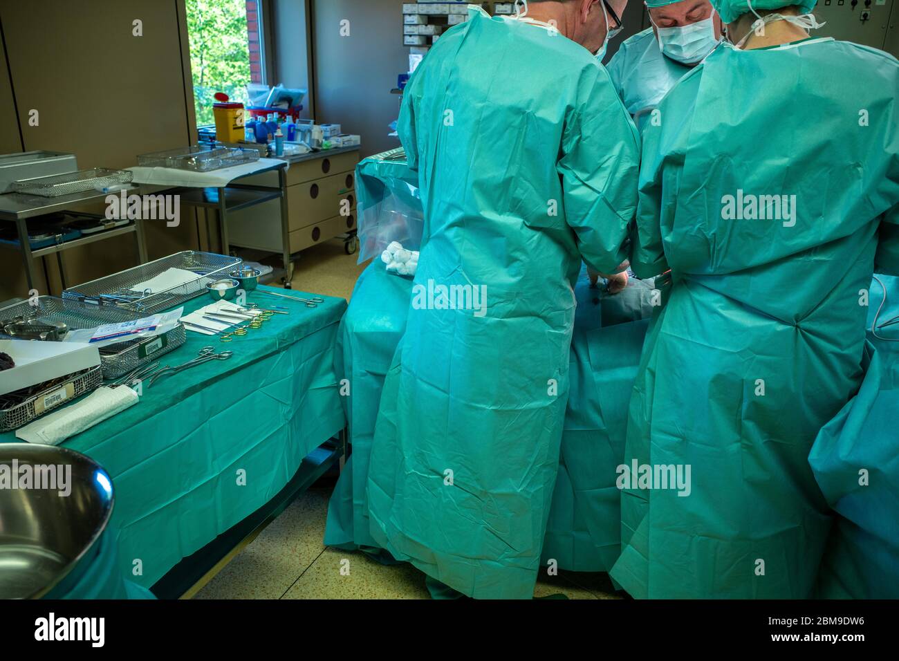 a surgical team performs a surgical abdominal operation Stock Photo - Alamy