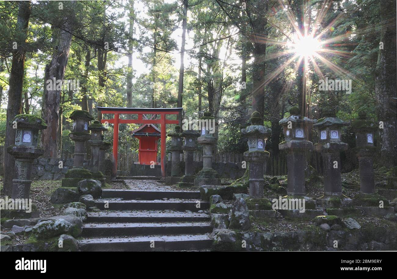 Japanese lanterns forest hi-res stock photography and images - Alamy