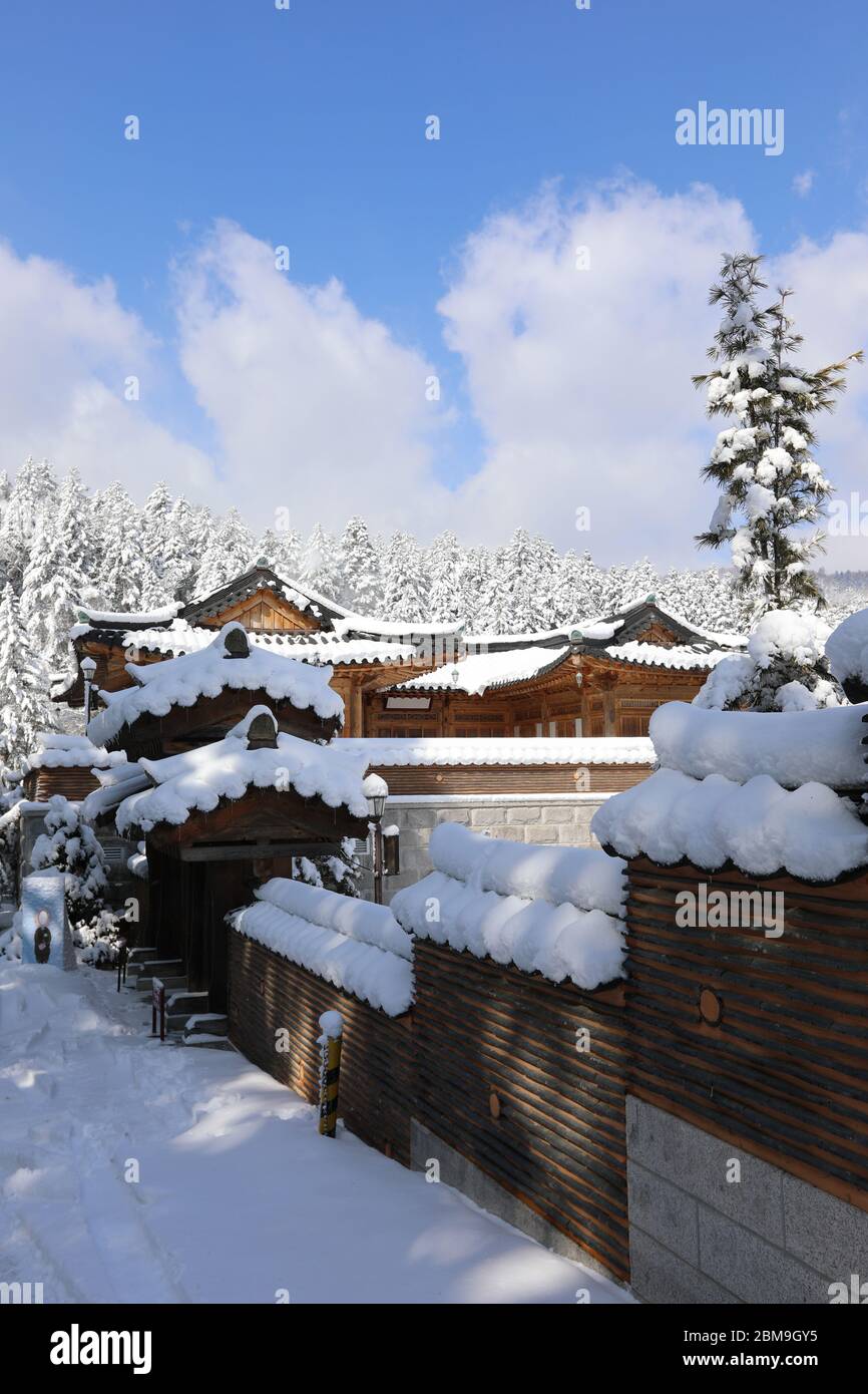 Snow covered Korean traditional stone wall and roof tile. Woljeongsa ...