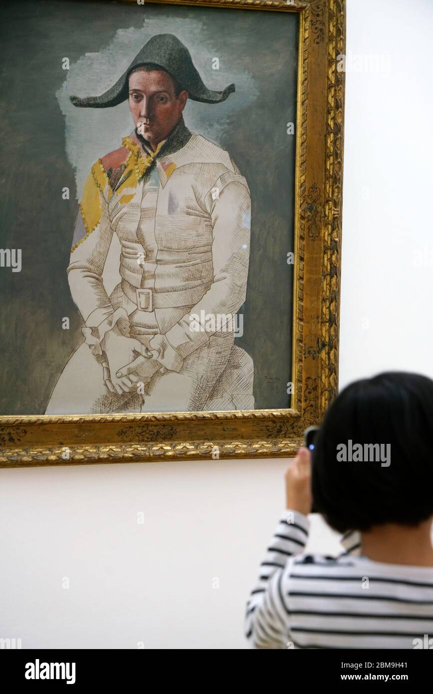 Picasso Harlequin Drawing