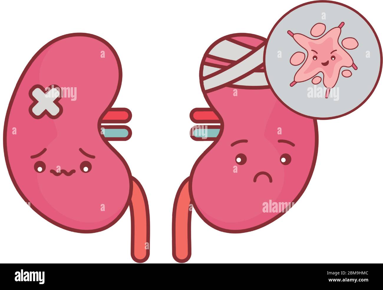 kidneys and virus cartoon flat style icon design of Medical care health ...