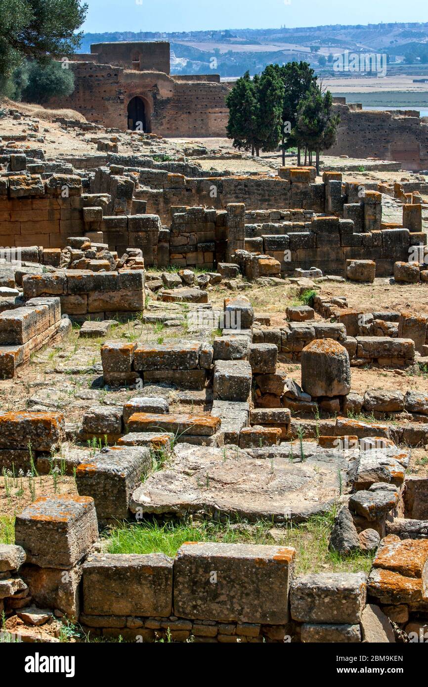 Roman ruins at the site of Chellah (Sala Colonia) at Rabat in Morocco ...