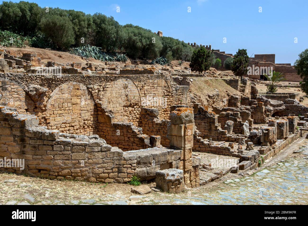 Roman ruins at the site of Chellah (Sala Colonia) at Rabat in Morocco ...