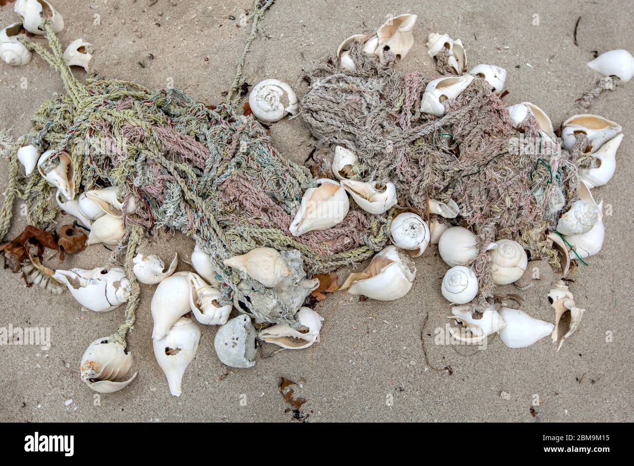 Sri lanka pollution hi-res stock photography and images - Alamy