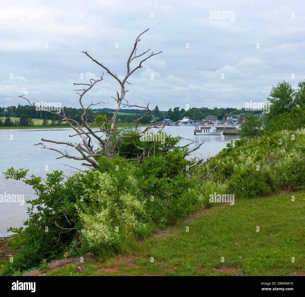 View of the North Rustico Harbour, with fishing boat docked at the quay ...