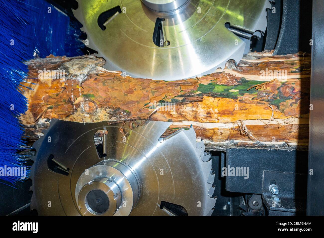 Lumber production process hi-res stock photography and images - Alamy