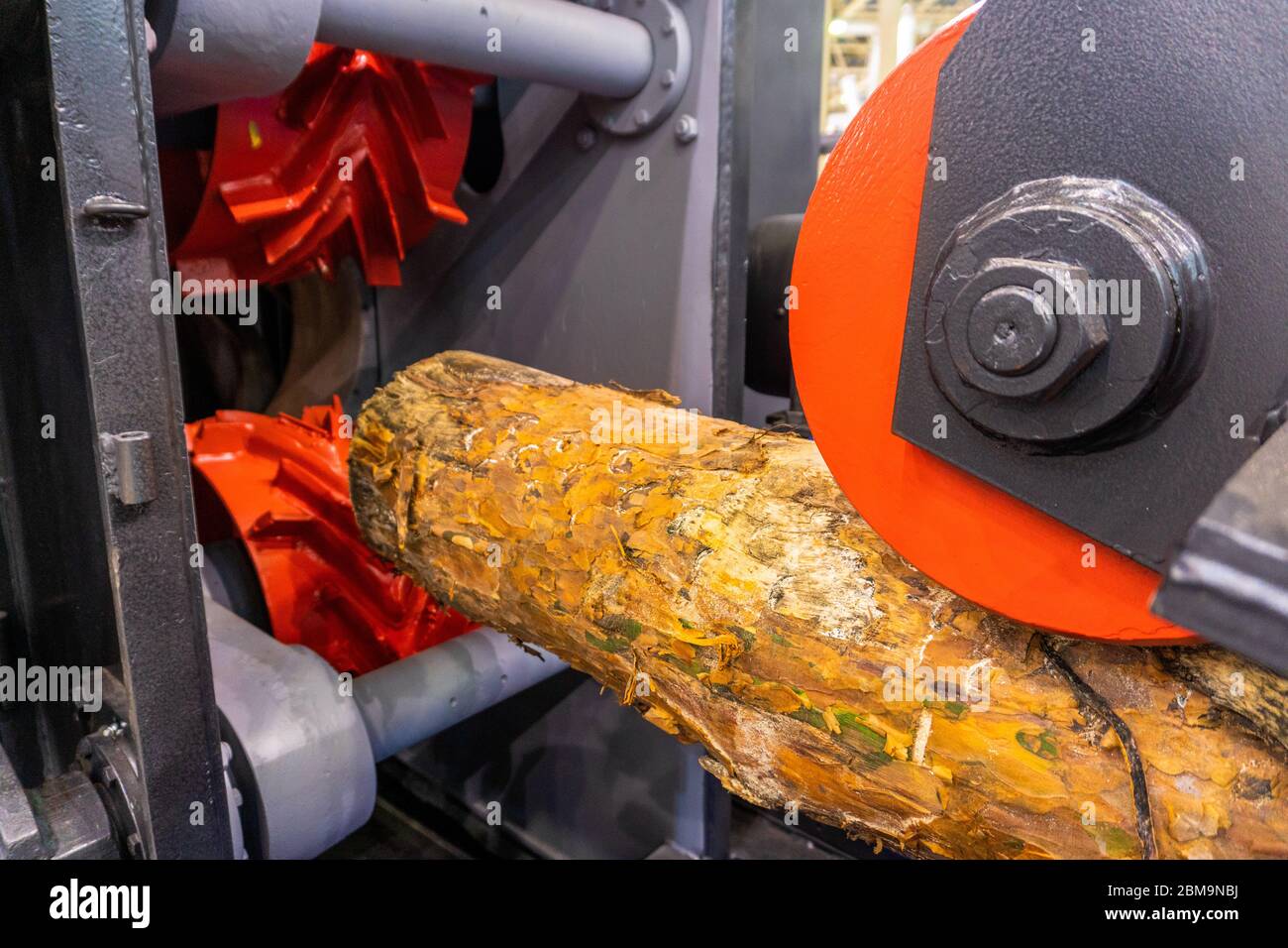 Modern Sawmill. Process of machining logs in equipment sawmill machine ...