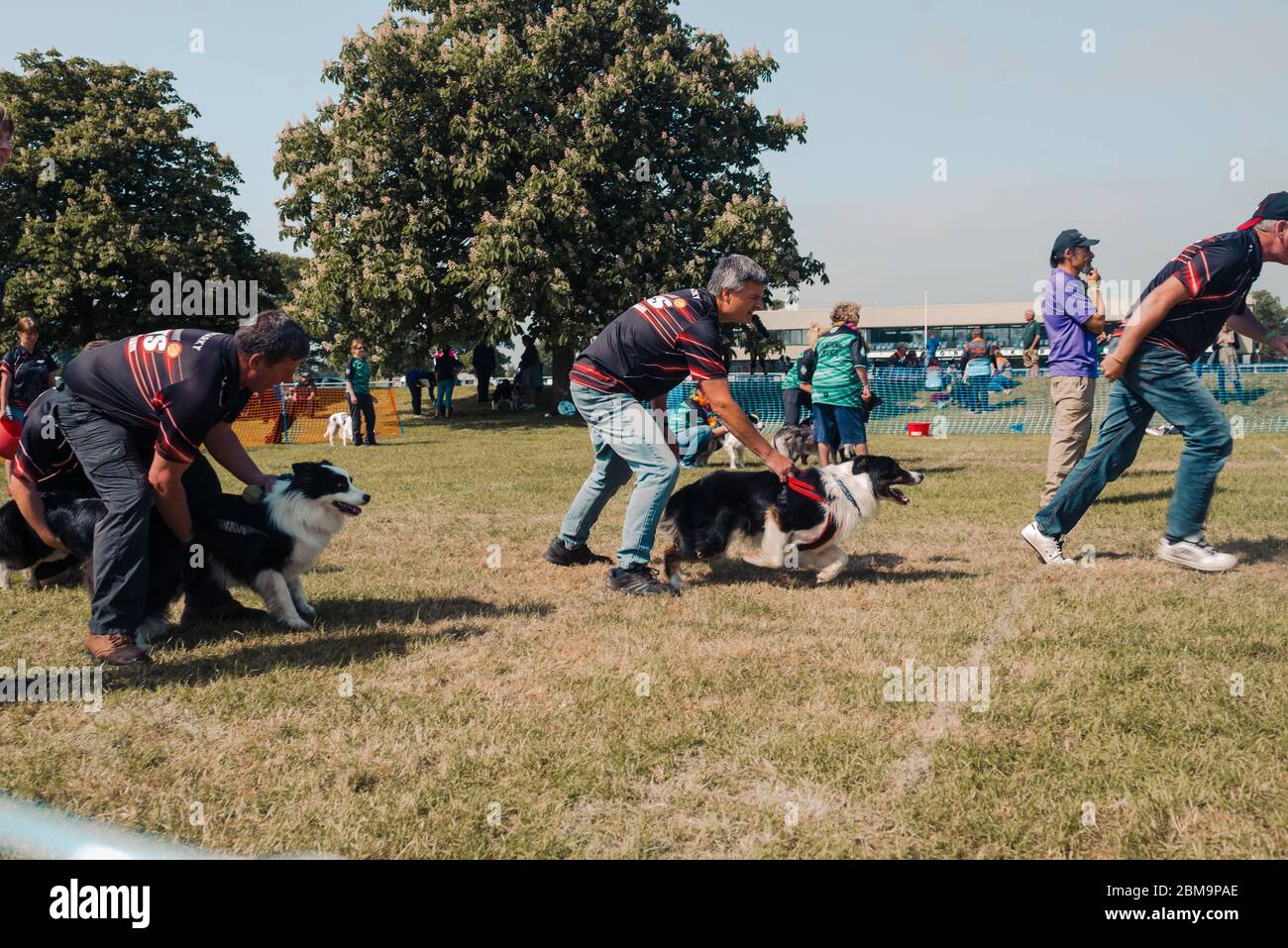 Dog competition child hi-res stock photography and images - Alamy