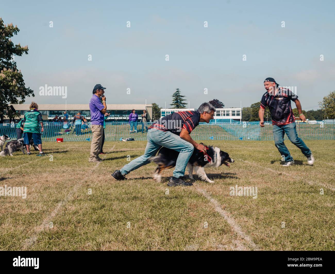 Competition field domestic hi-res stock photography and images - Alamy