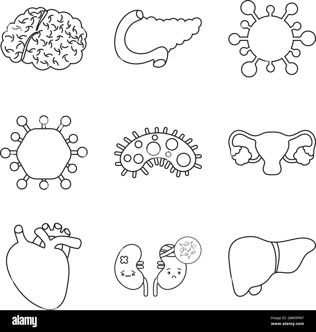 Female pancreas Black and White Stock Photos & Images - Alamy