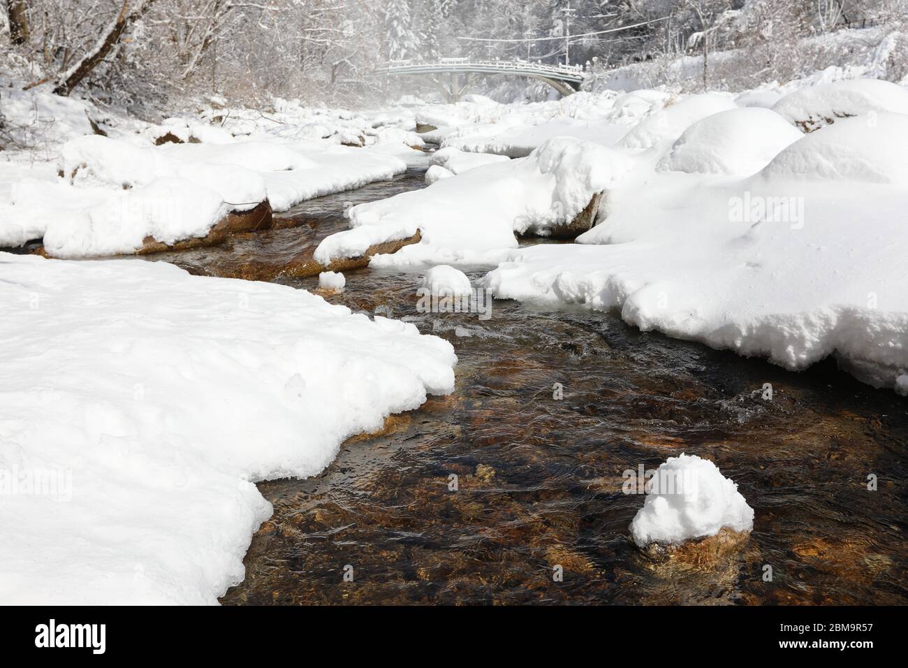 Snow-covered winter forest and brook. Odaesan national park , Gangwon ...