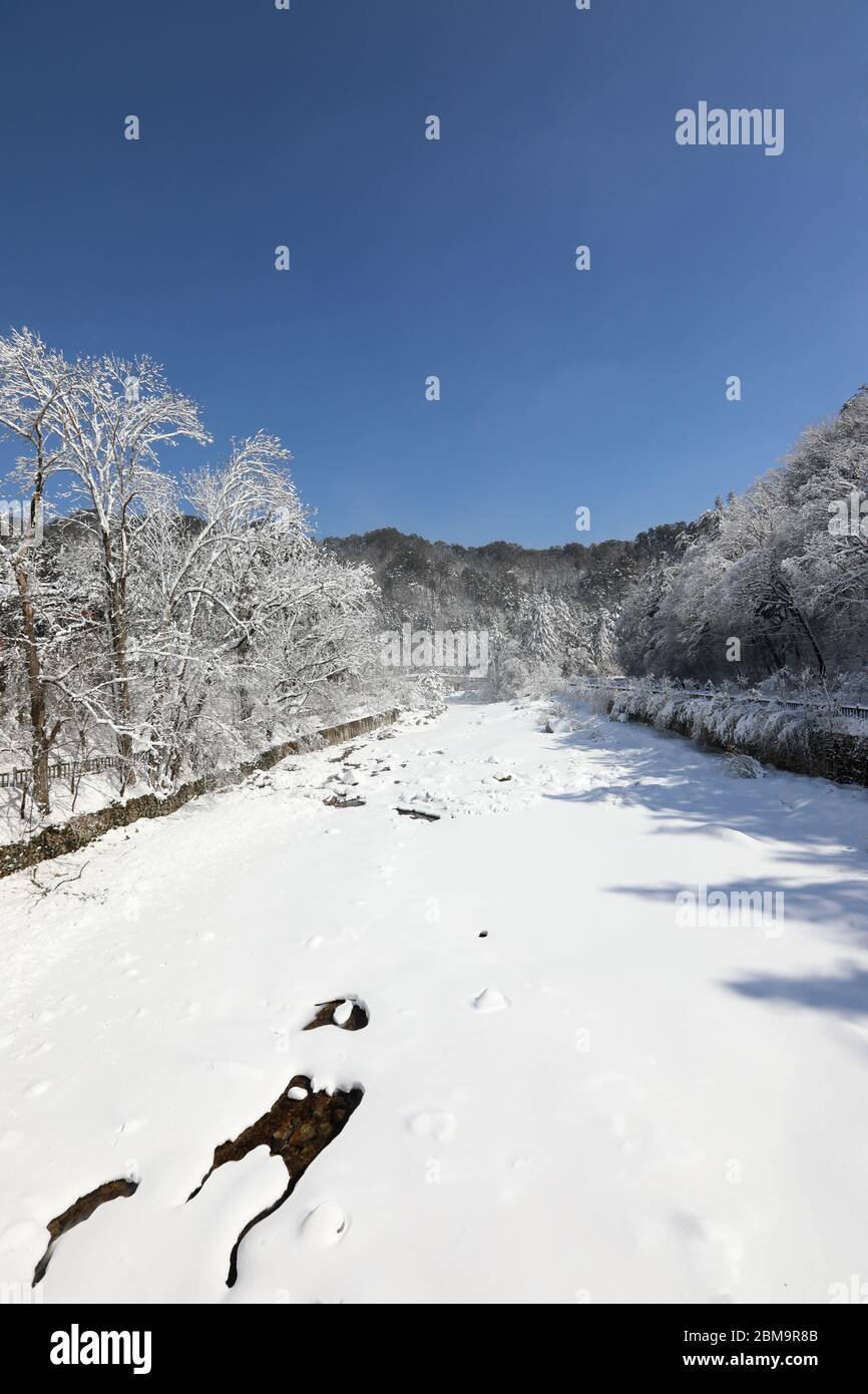 South korean forest hi-res stock photography and images - Alamy
