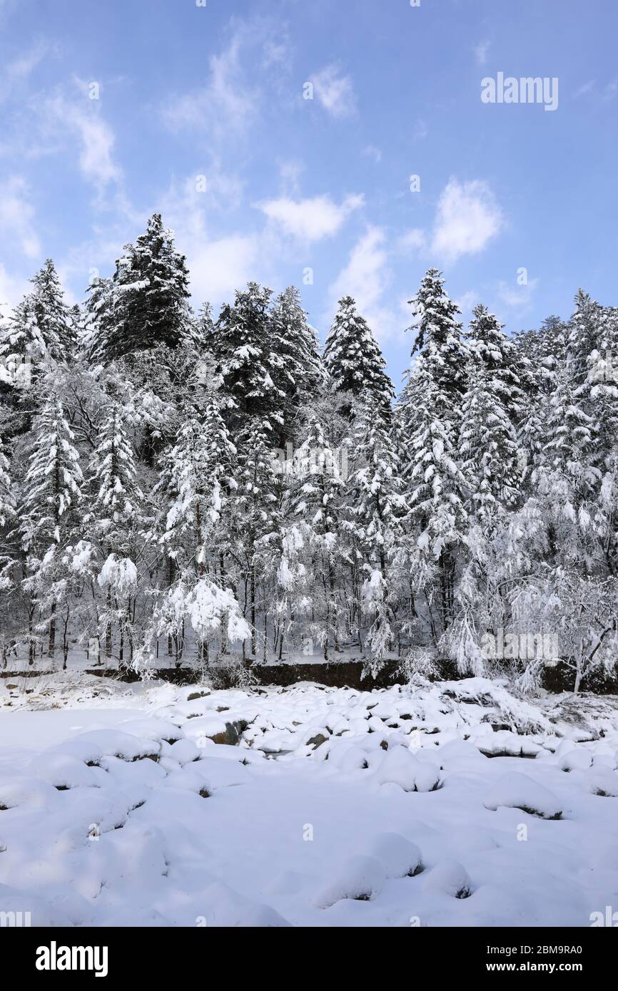 Beautiful winter landscape with snow covered trees. Odaesan national ...