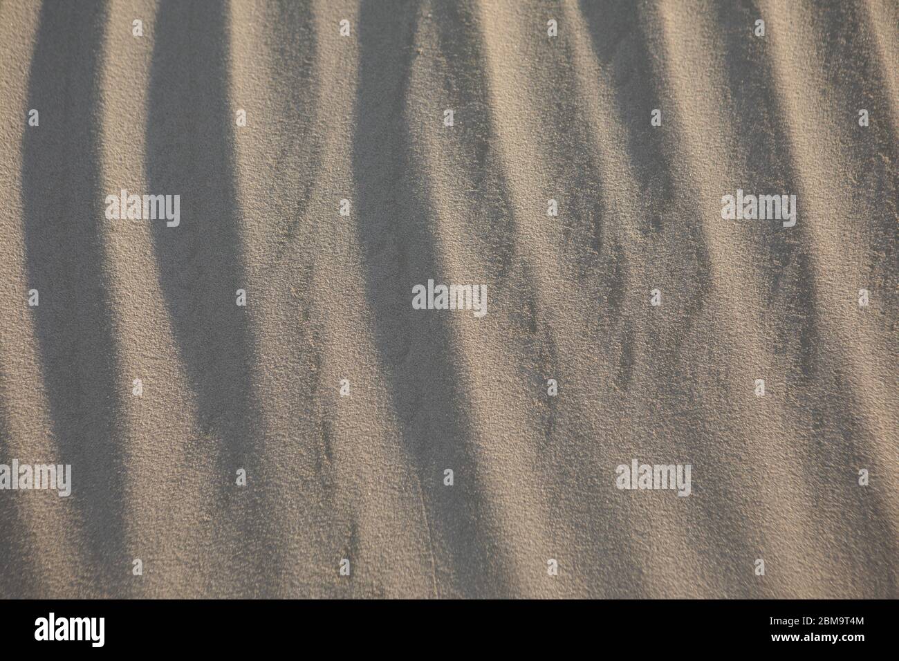 sandy texture with shadows and winds waves Stock Photo - Alamy