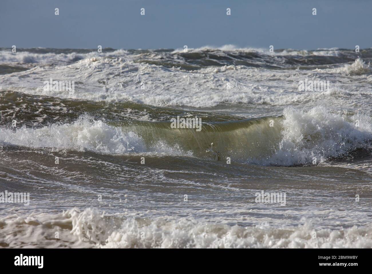 Waves of the north sea with white spindrift in front of a blue sky ...