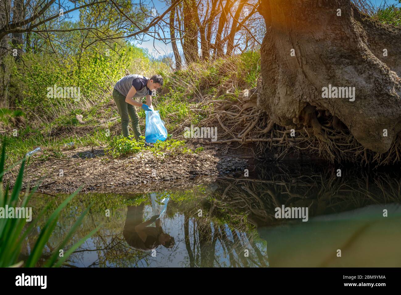cleaning of forests and parks from garbage, waste collection and ...