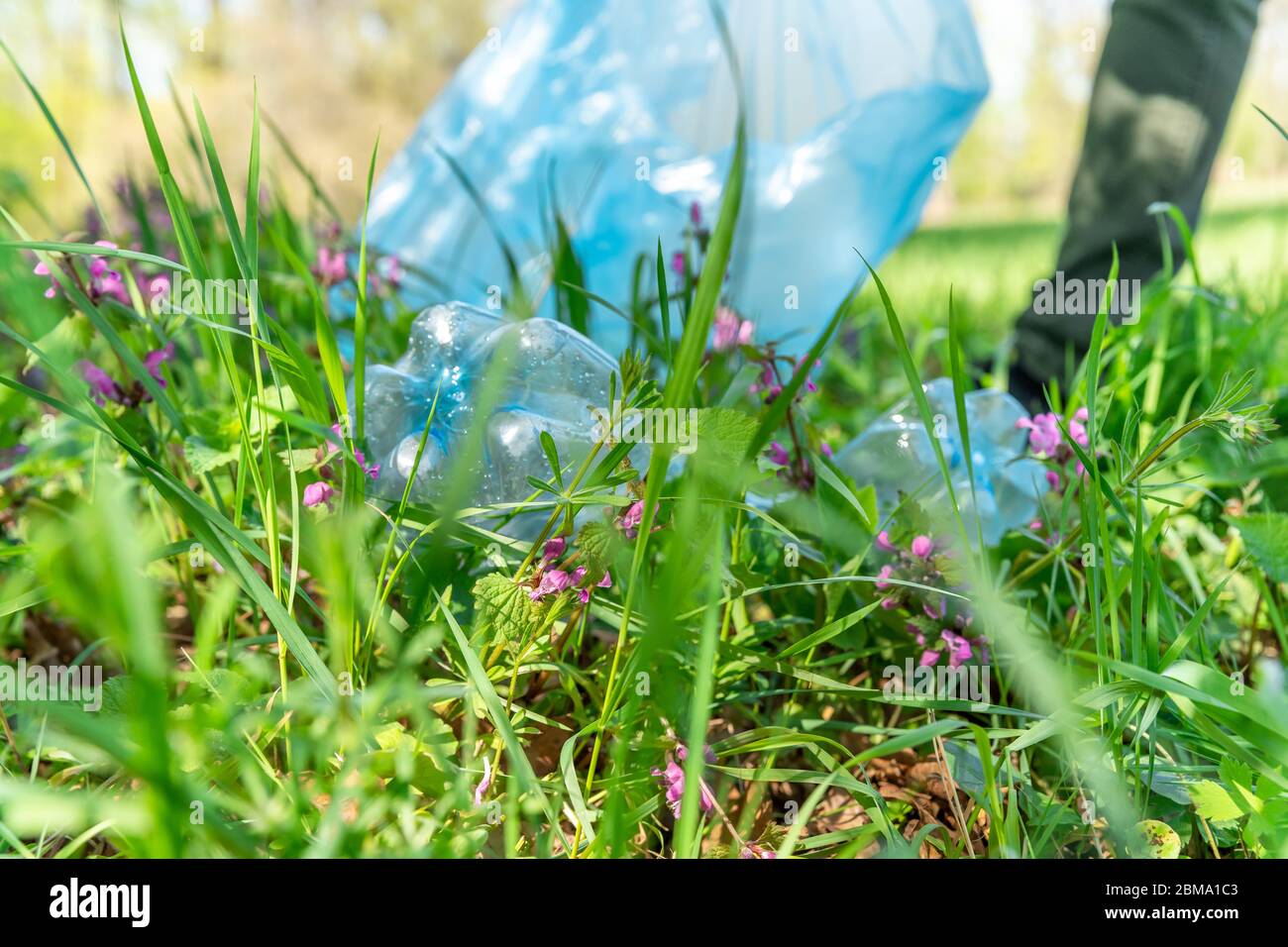 cleaning nature by collecting plastic waste, plastic bottles from the ...