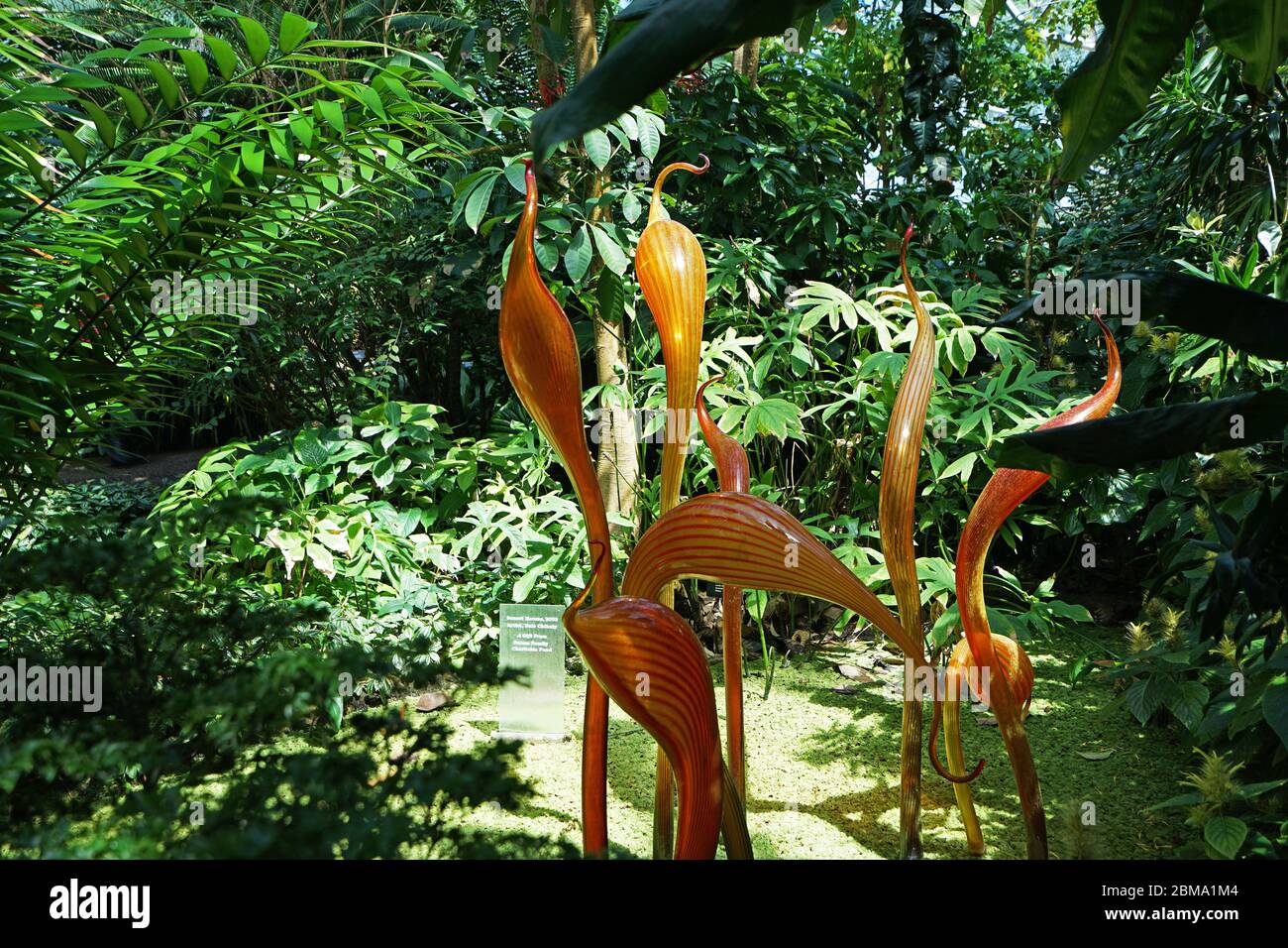Climatron missouri botanical garden hi-res stock photography and images ...
