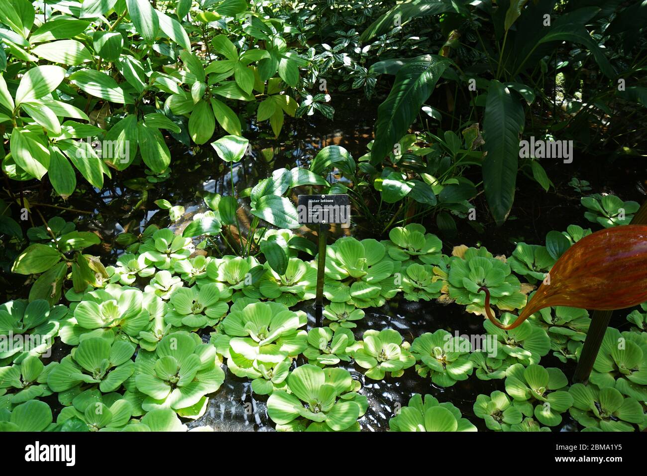 Sculpture inside 'MISSOURI BOTANICAL GARDEN' in Climatron geodesic ...