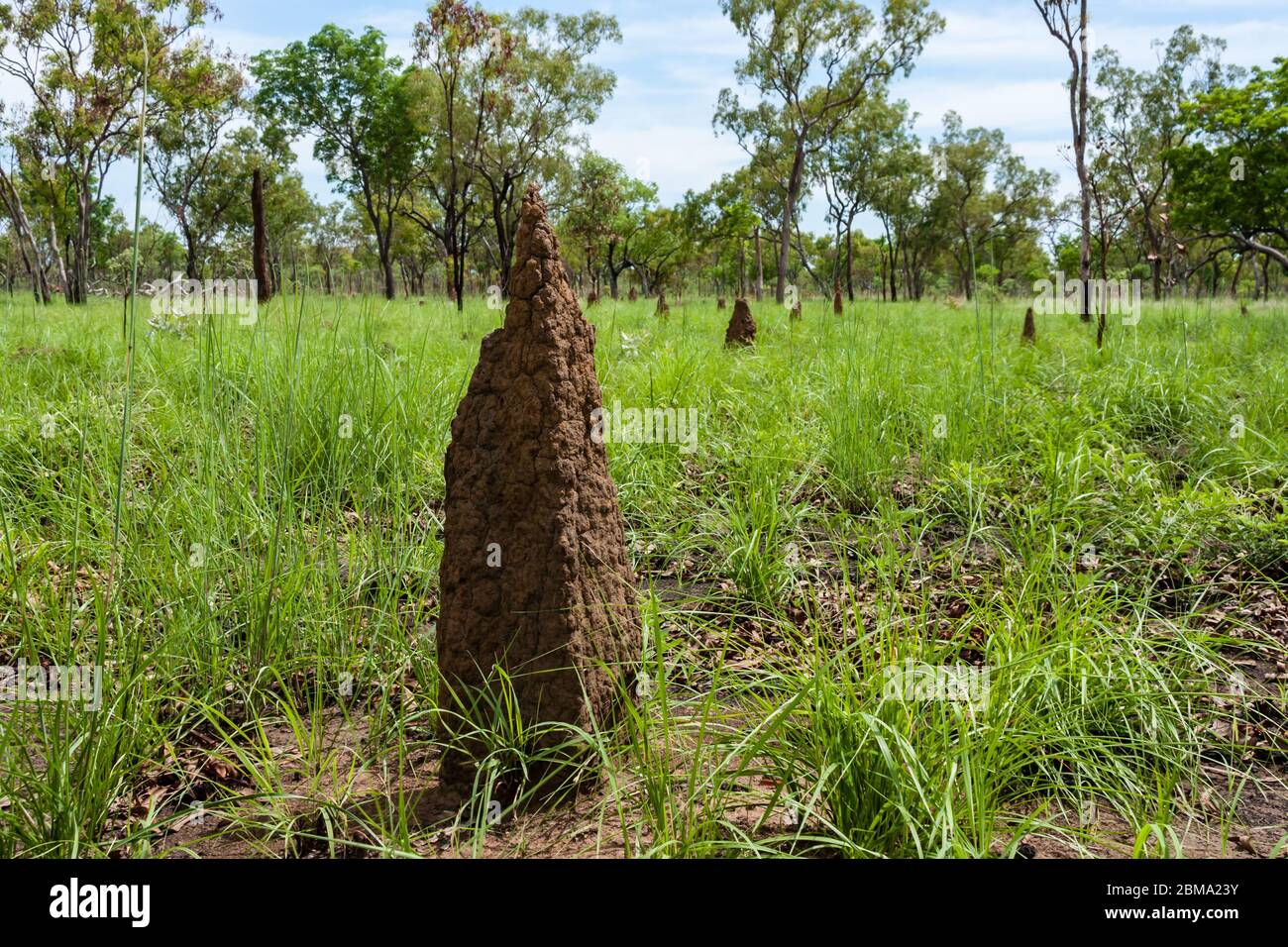 Big termite anthills. Australia, outback, Northern territory Stock ...