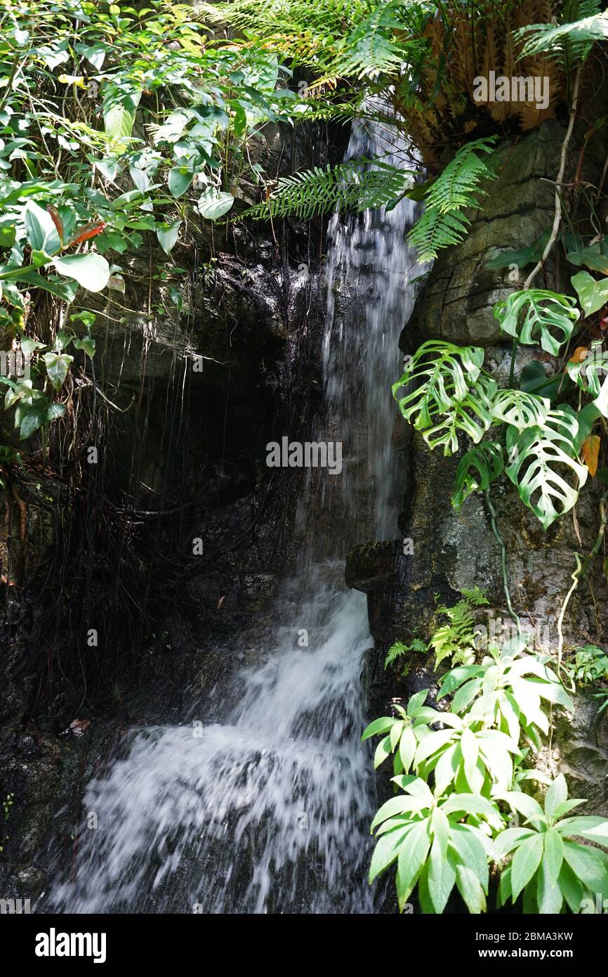 Natural rocky waterfall in rainforest park Stock Photo - Alamy