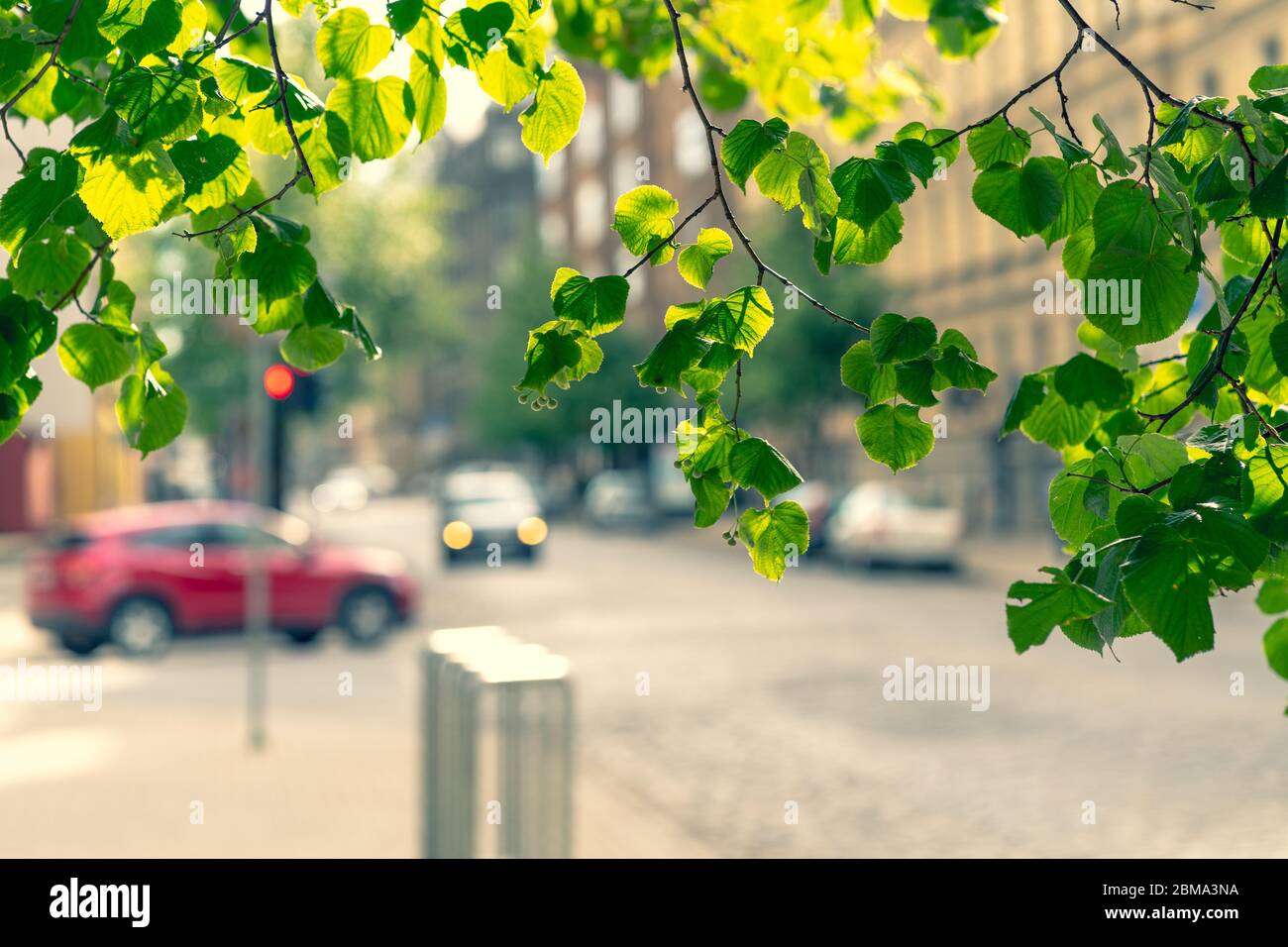 City street on a background of green leaves Stock Photo - Alamy
