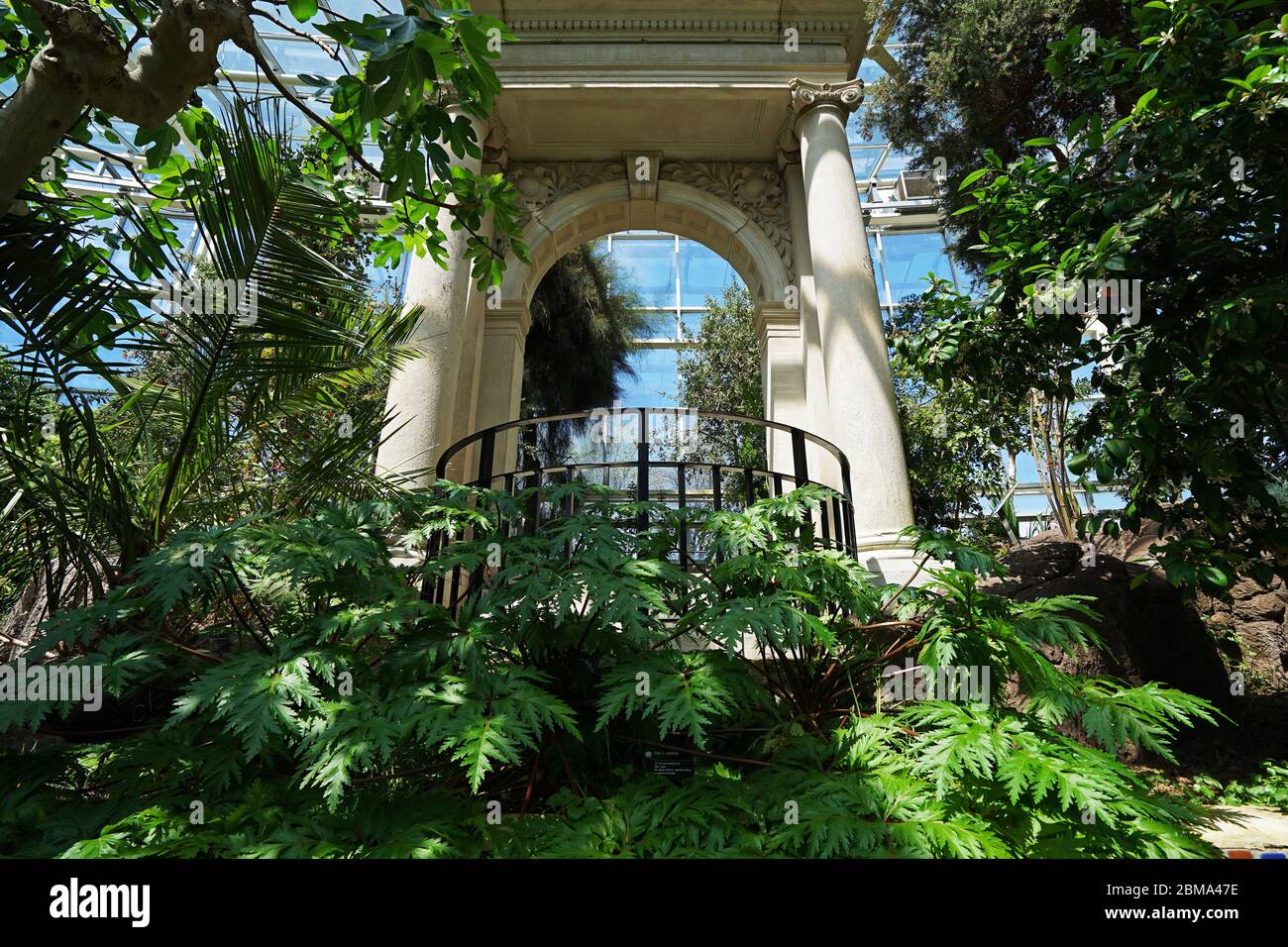 Plant arrangement and building decoration in Climatron geodesic ...