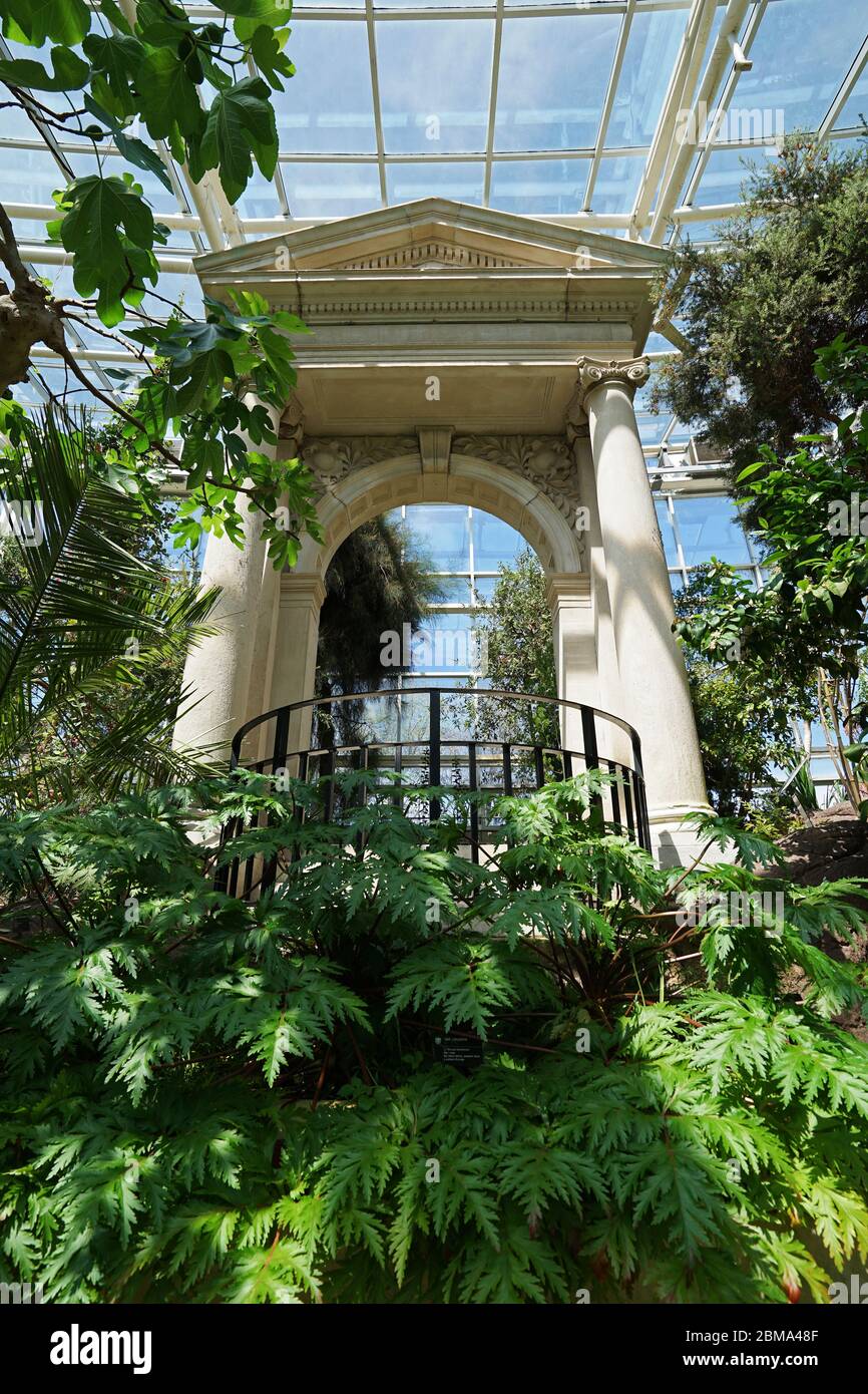 Plant arrangement and building decoration in Climatron geodesic ...