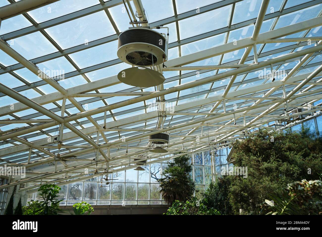 Tropical green rainforest in Climatron geodesic conservatory dome at ...