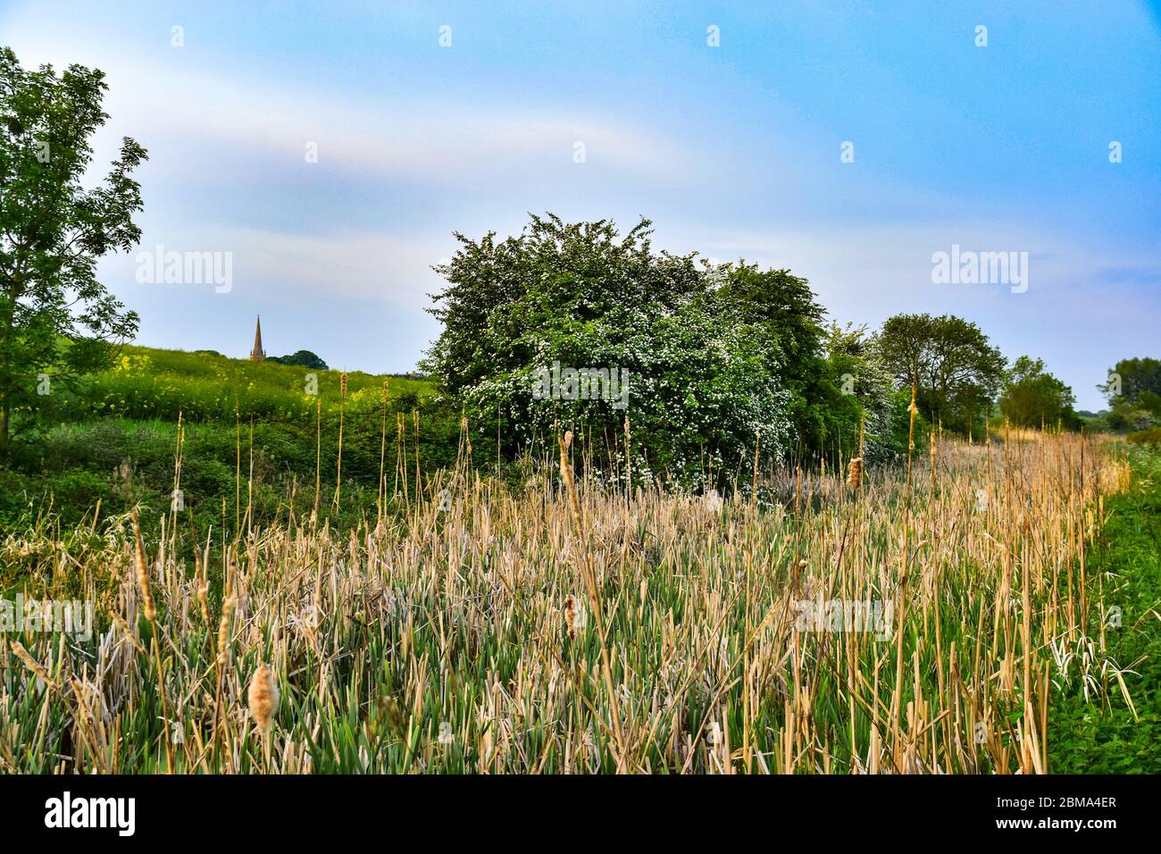 Grantham Canal, Vale of Belvoir Stock Photo - Alamy