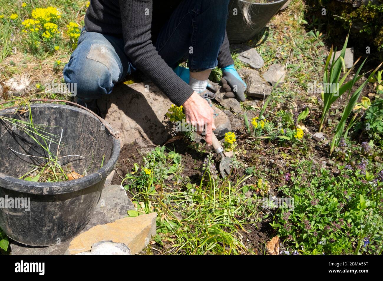 Sloped gardens hi-res stock photography and images - Alamy