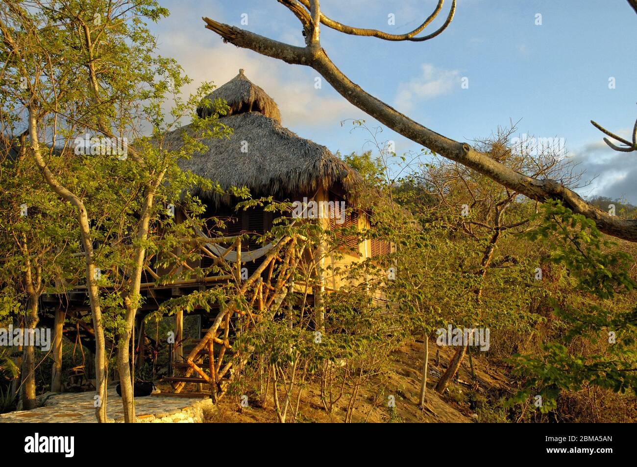 Thatched roof palapa in Mexican jungle Stock Photo - Alamy