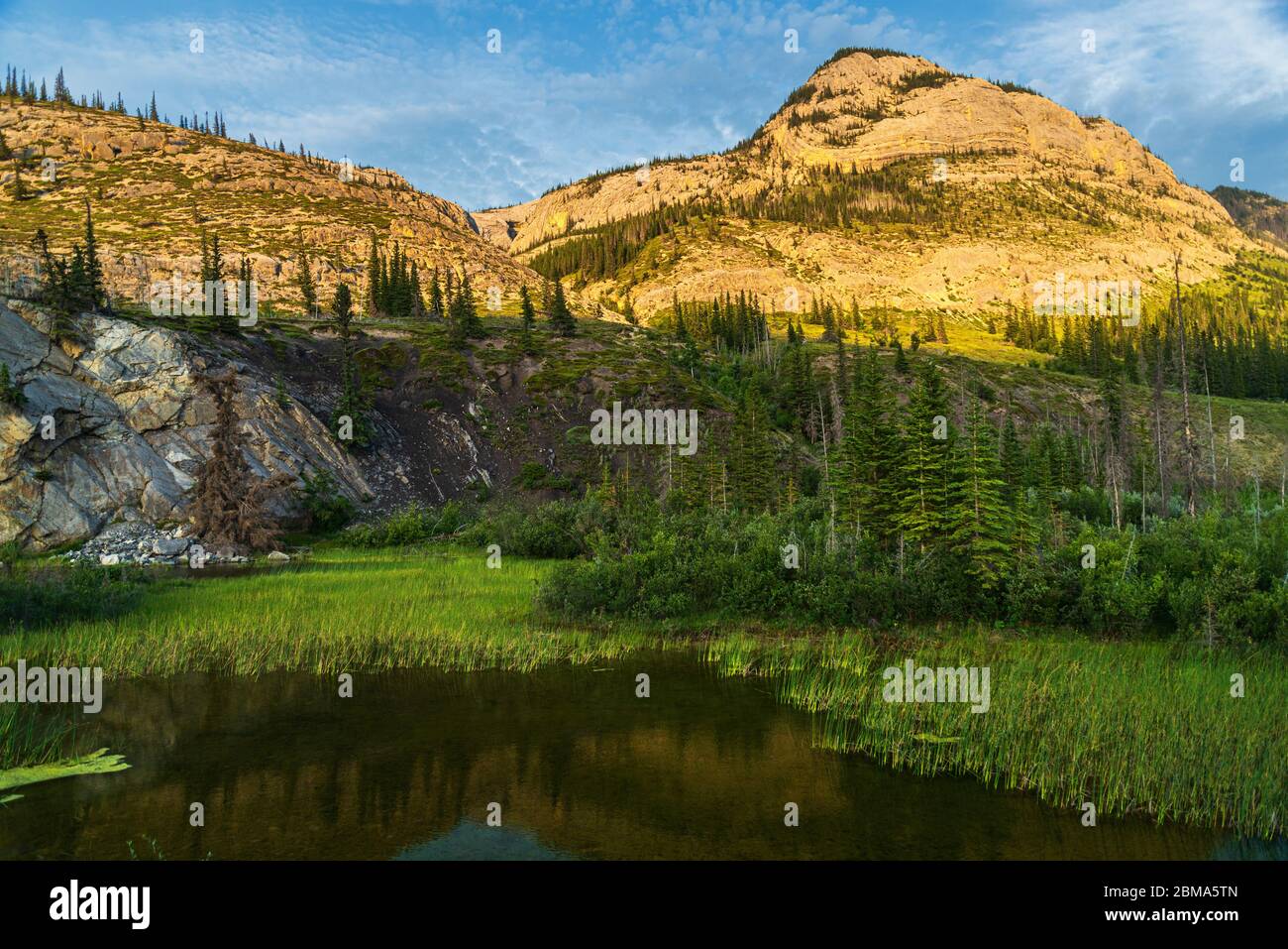 nature scenarios along the yellowhead highway, Alberta, Canada Stock ...