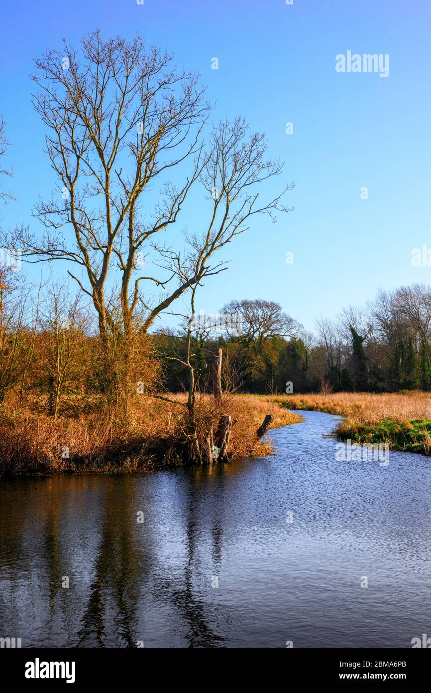 water view at horstead norfolk broads england uk Stock Photo - Alamy