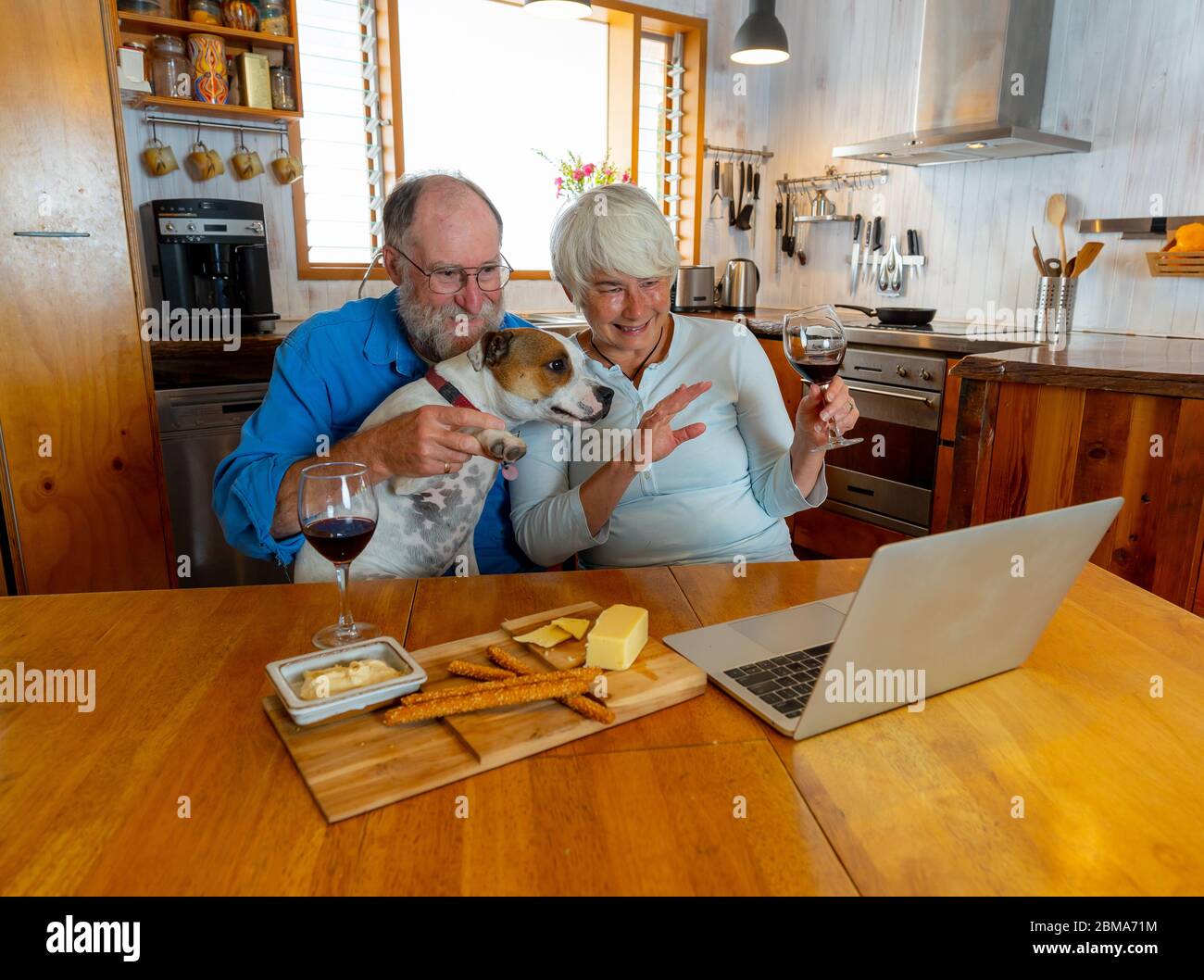 Connected pet hi-res stock photography and images - Alamy