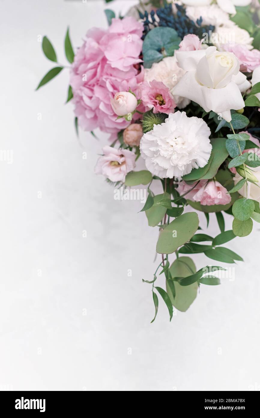 Congratulations indoor background hi-res stock photography and images ...