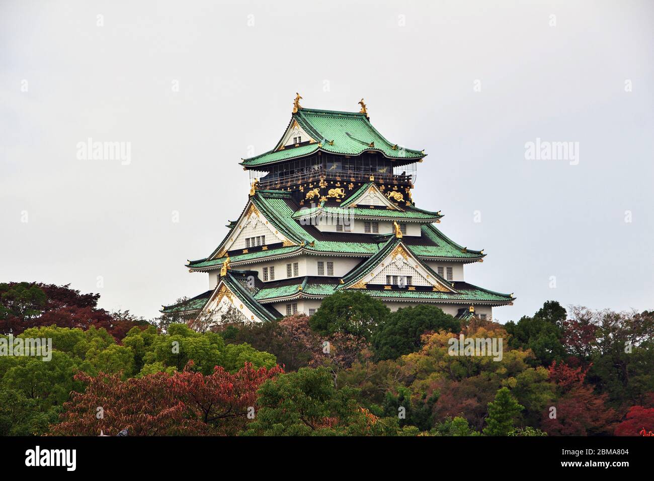 The medieval castle at autumn, Osaka, Japan Stock Photo - Alamy