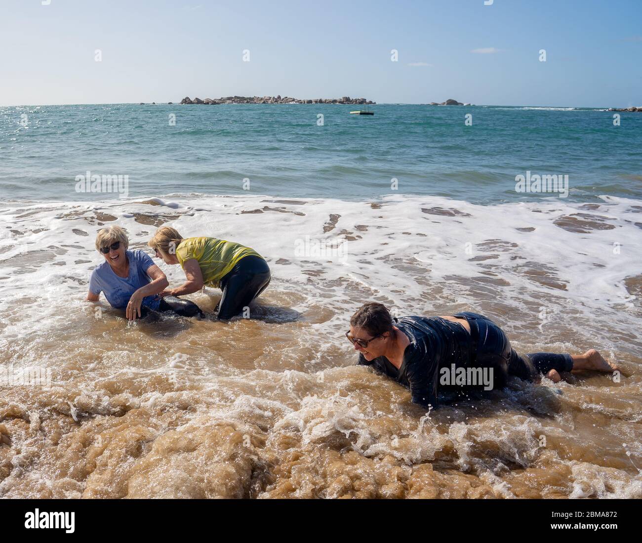 Group of senior retired women on their 60s and 70s falling in the water ...